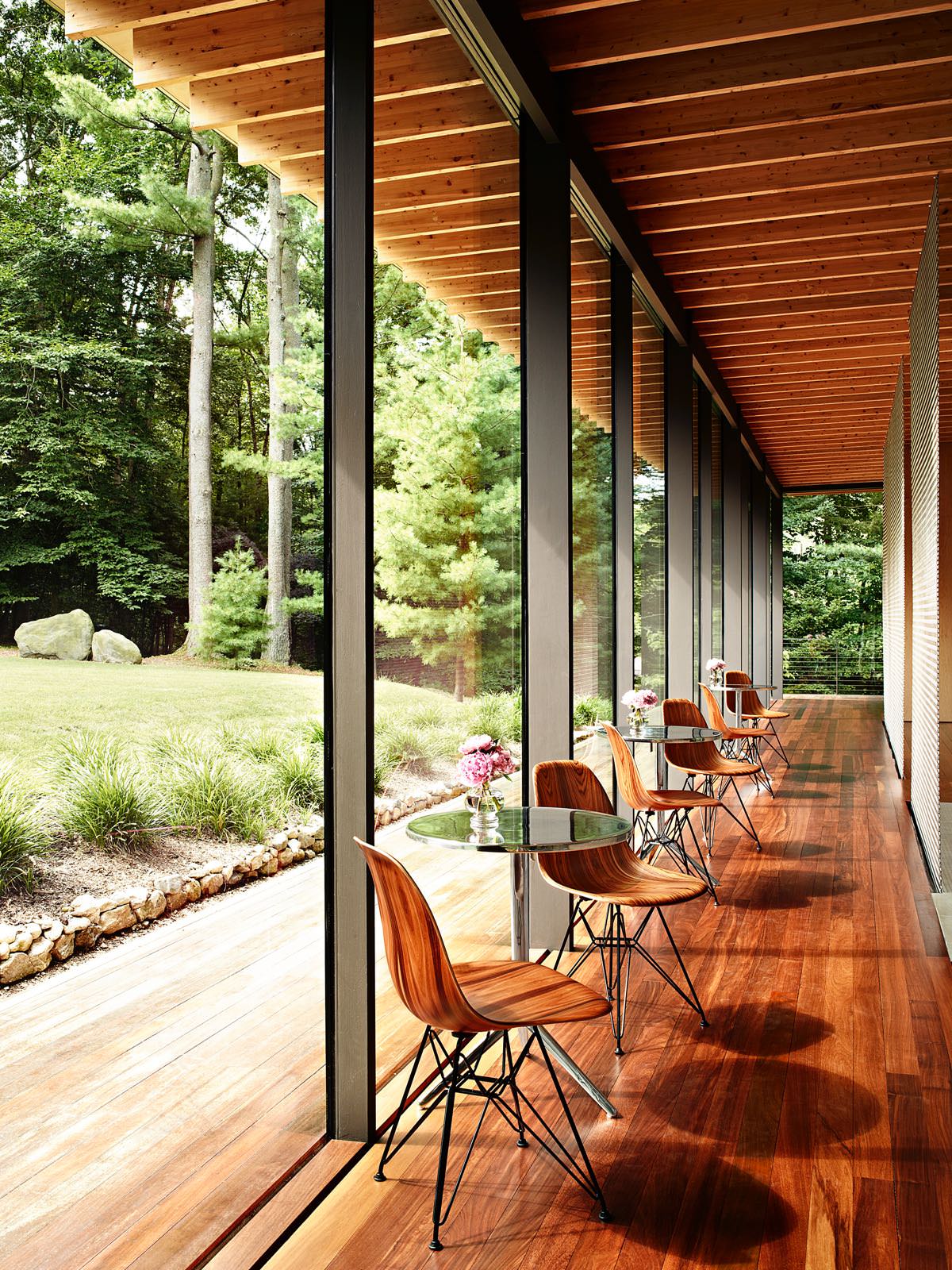 Eames Moulded Wood Side Chair walnut set of 6 by Charles Ray Eames Herman Miller Matisse Interior Showroom New Zealand