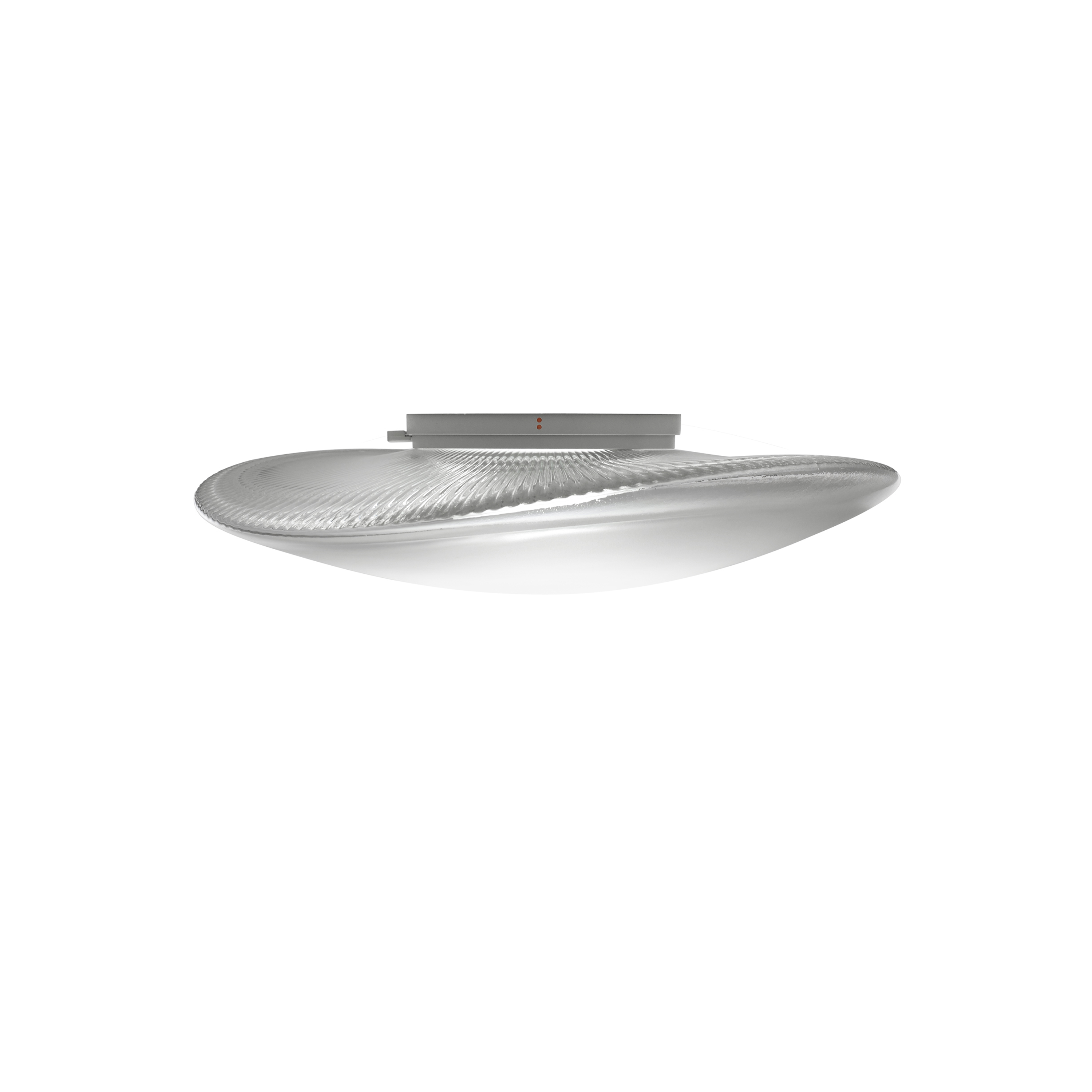 Constance Guisset | Matisse - Interior Showroom, New Zealand